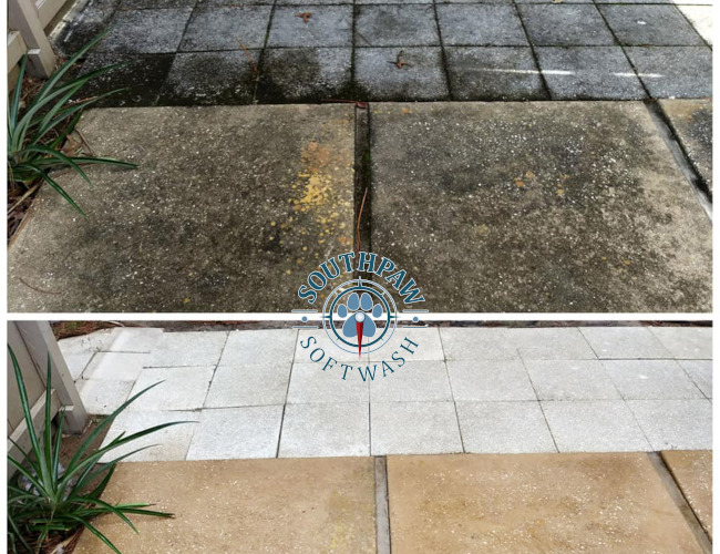 Concrete Washing, Charleston, SC | Southpaw Softwash [Infographic]